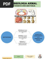 Embriologia de Los Bovinos | PDF | Epitelio | Biología del desarrollo