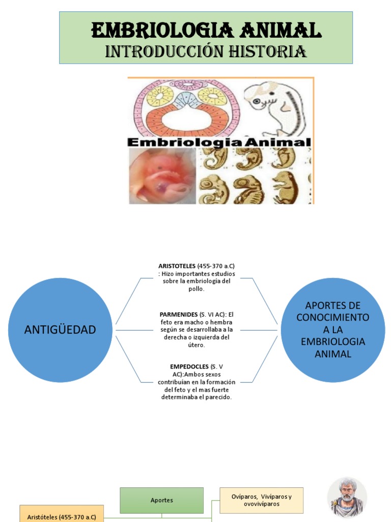 Historia de La Embriologia | PDF | Reproducción | Morfología (biología)
