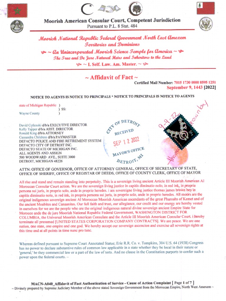 8595 Affidavit of Fact - Notice To All Law Enforcement - Detroit Michigan 9-12-22 Stamoed ...
