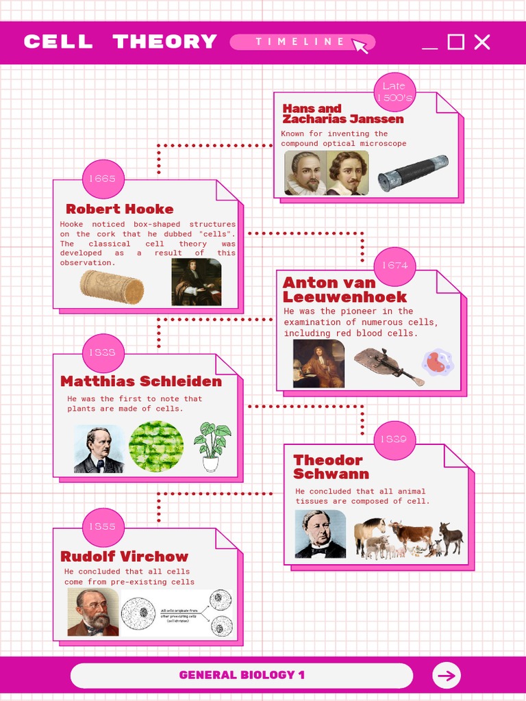 Cell Theory Historical Timeline Activity | PDF | Microscopy | Life Sciences