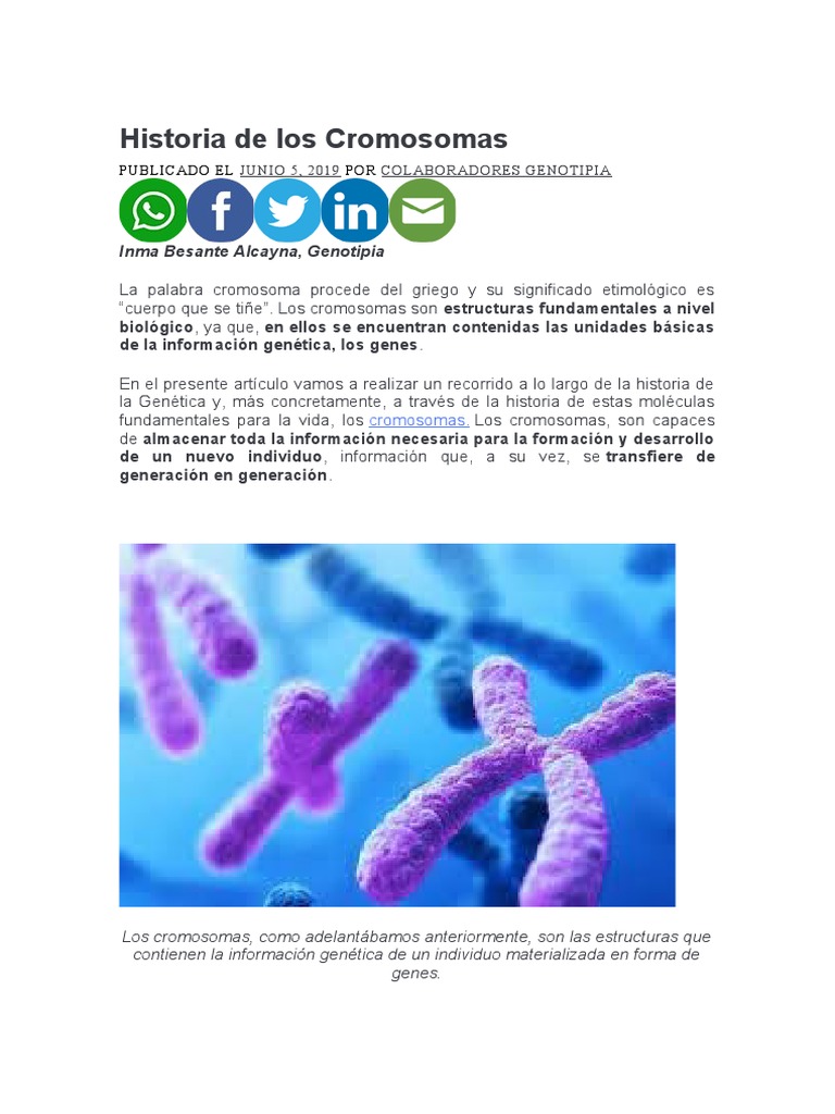 Historia de Los Cromosomas | PDF | Cromosoma | Citogenética