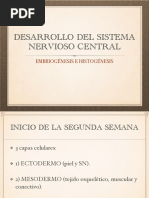 Neurulacion Embriologia | PDF | Anatomía | Biología del desarrollo