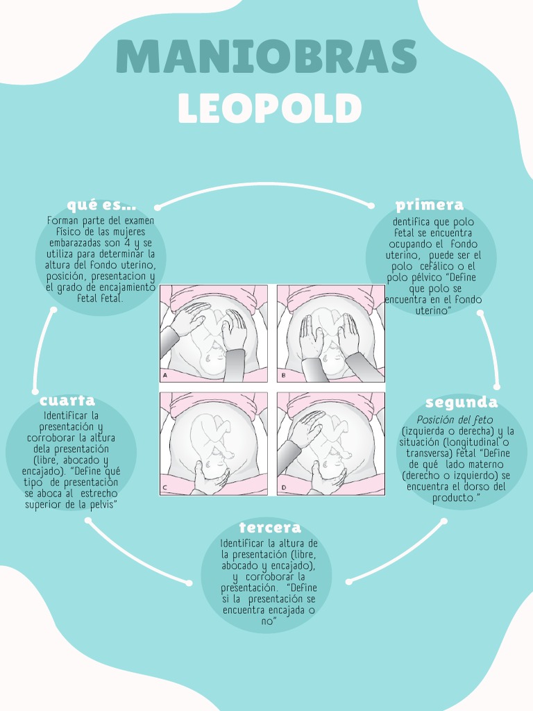 Maniobras Leopold | PDF