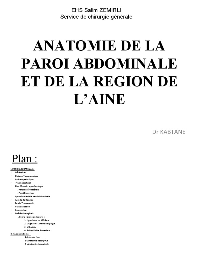 Anatomie Paroi Abdominale, Région L'aine | PDF | Péritoine | Abdomen