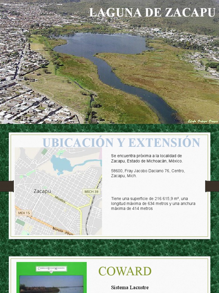 Laguna de Zacapu | PDF | lago | Ecología