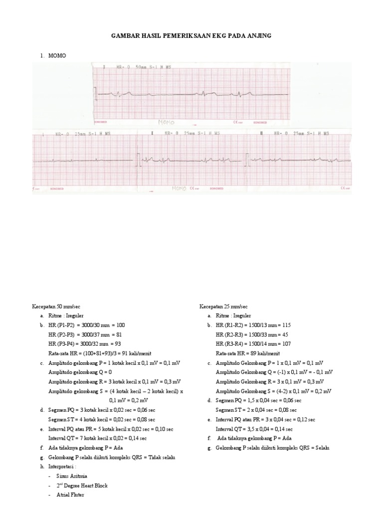 Ekg Pada Anjing | PDF