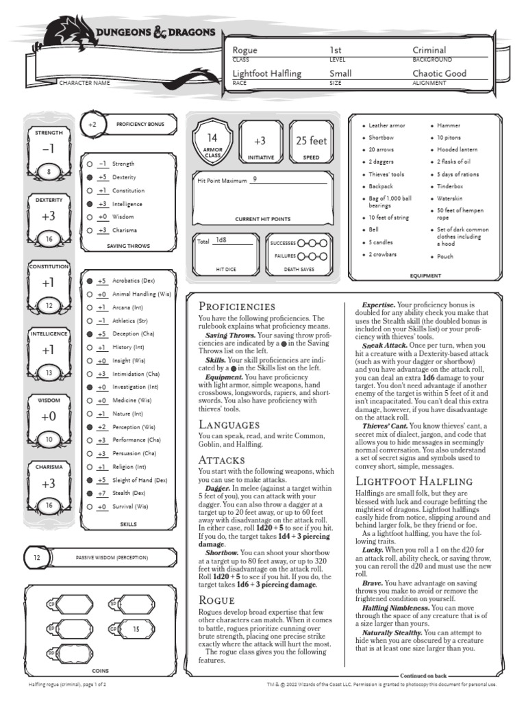 Dragons of Stormwreck Isle Character - Rogue | PDF | Role Playing Games