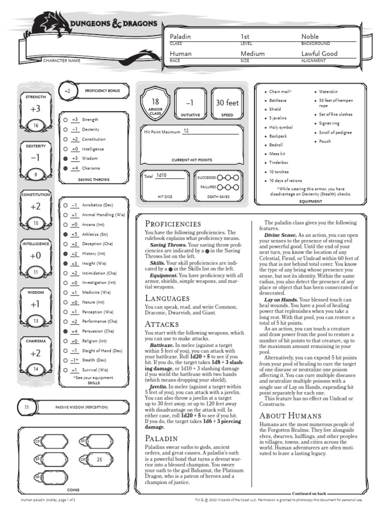 Dragons of Stormwreck Isle Character - Paladin | PDF | Dungeons ...