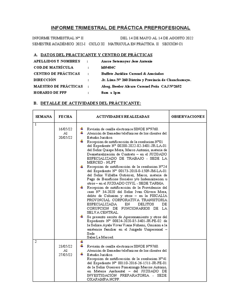 Segundo Informe Trimestral de Práctica Preprofesional Ii | PDF | Gobierno | Justicia