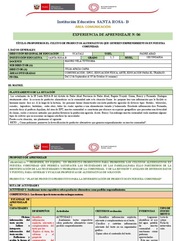 Experiencia de Aprendizaje 6 DE COMUNICACIÓN | Descargar gratis PDF | Evaluación | Aprendizaje