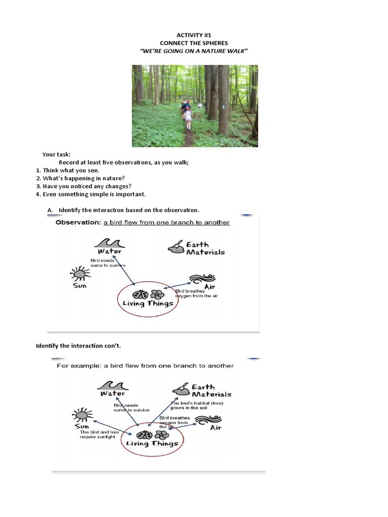 ACTIVITY #1 - Sphere Interaction | PDF