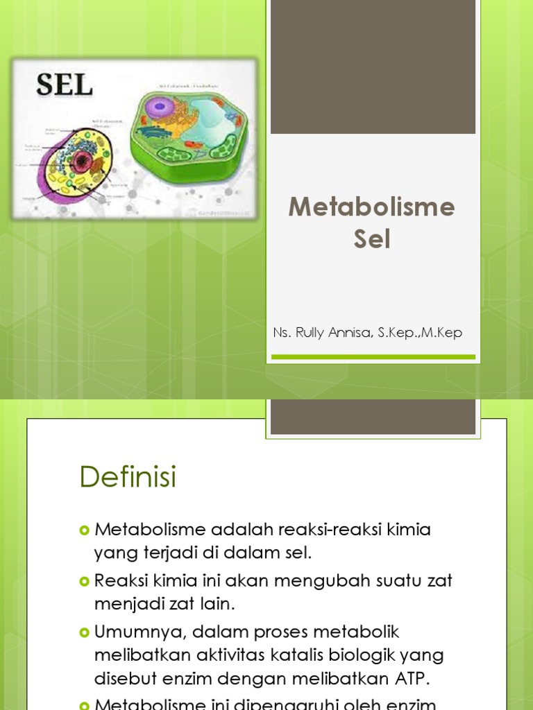 Metabolisme Sel | PDF | Sains & Matematika | Teknologi & Rekayasa