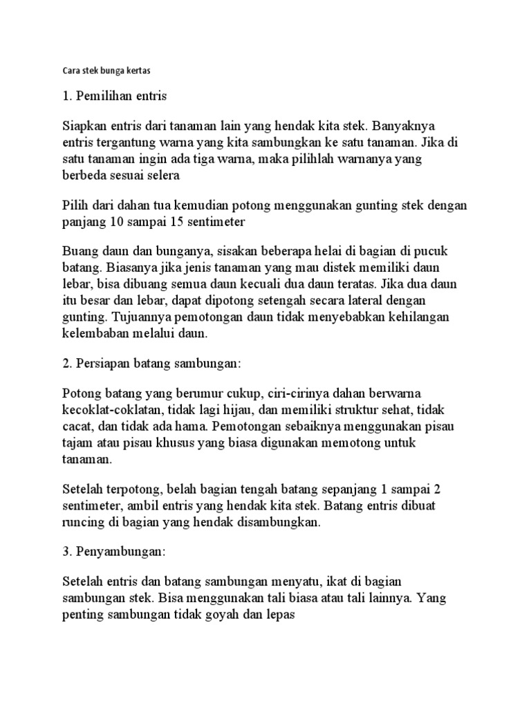 Panduan Stek Bunga Kertas yang Efektif | PDF