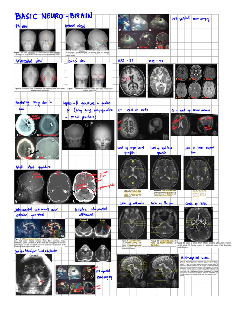 Radiology | PDF