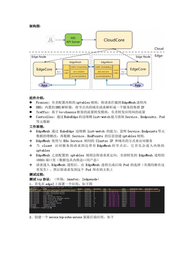 edgemesh测试文档 | PDF