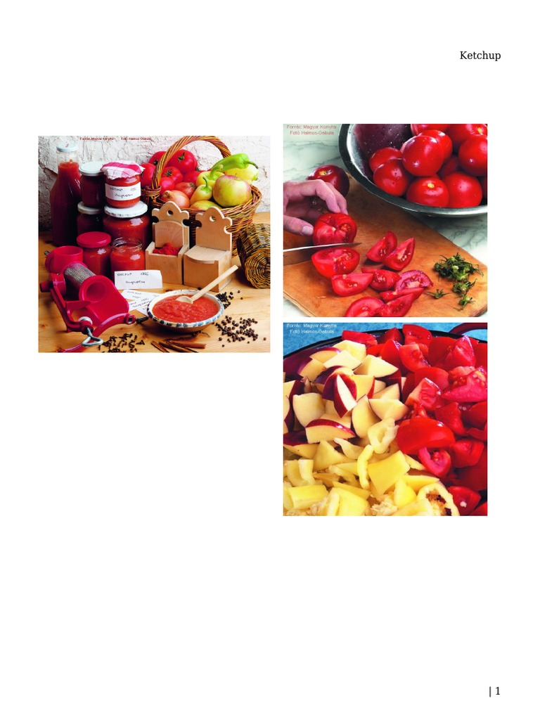 Ketchup | PDF