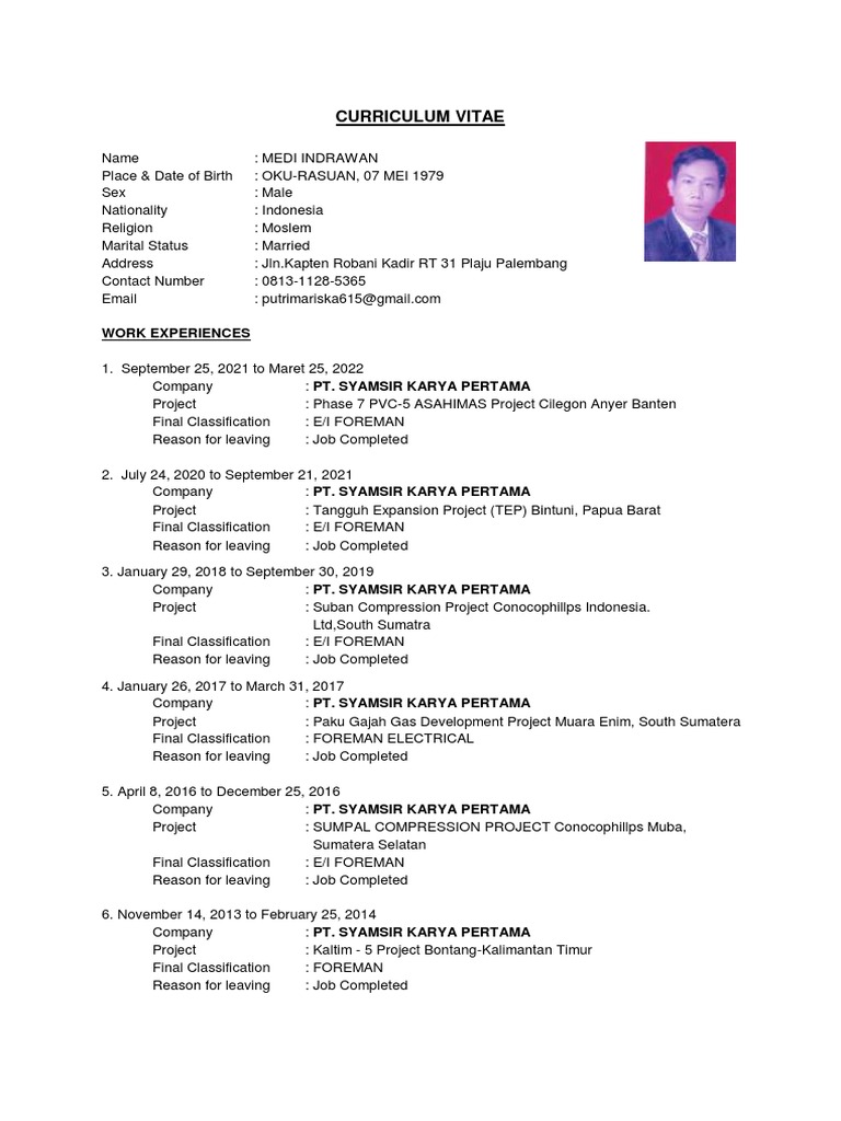 Curriculum Vitae Medi Indrawan | PDF