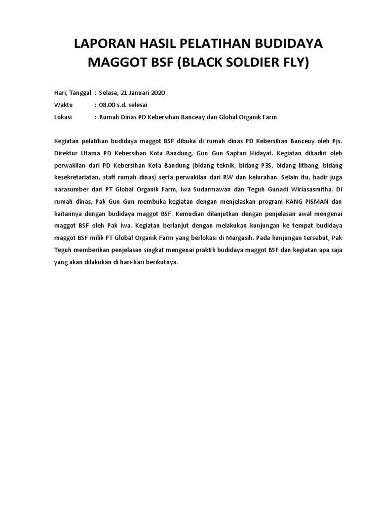 Panduan Budidaya Maggot BSF | PDF
