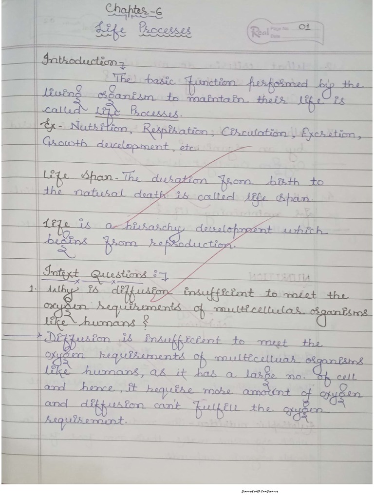 Life Process and Control and Coordination Class 10 Handwritten Notes | PDF