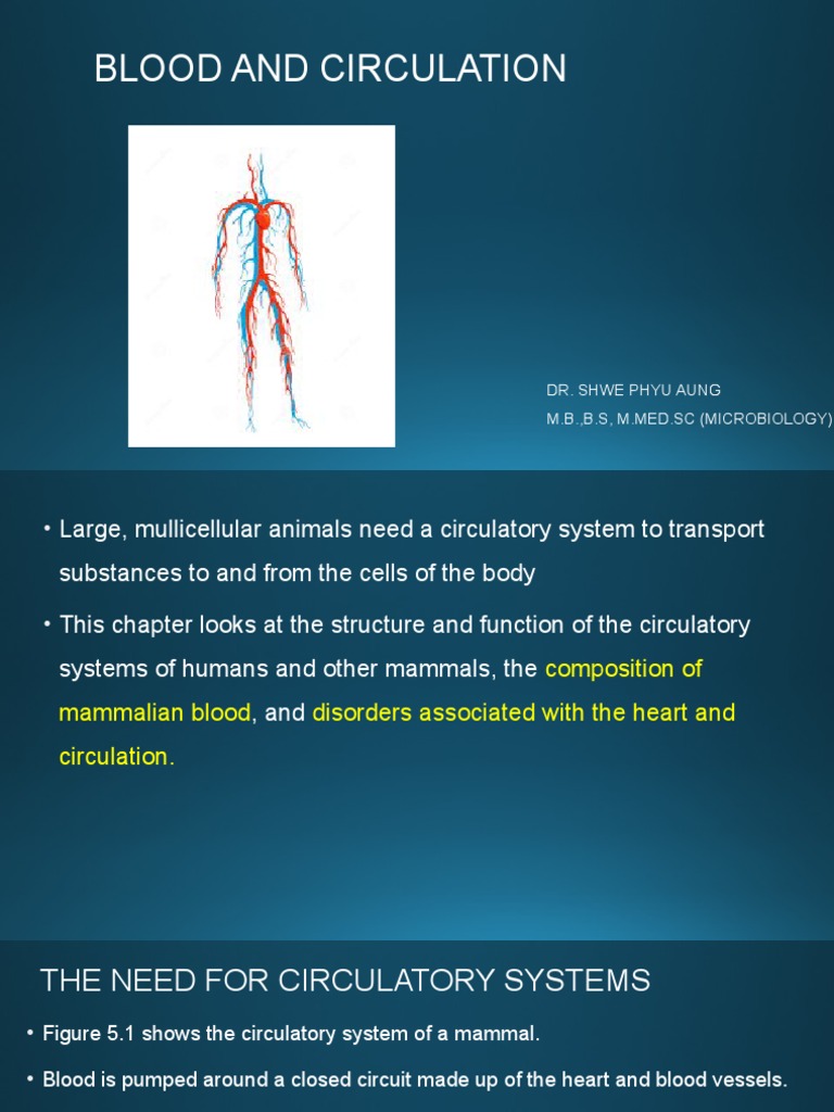 Circulation and Blood Igcse Biology | Download Free PDF | Heart | Artery