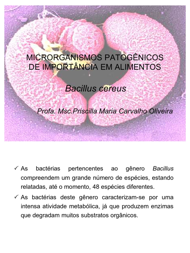 Aula 6 Bacillus Cereus Pdf