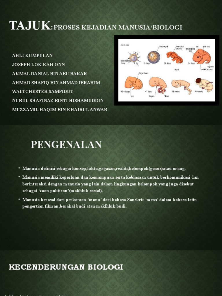 Proses Kejadian Manusia Mengikut Perspektif Biologi | PDF