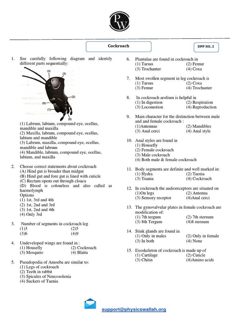 Cockroach: DPP No. 2 | PDF | Excretion | Animal Physiology