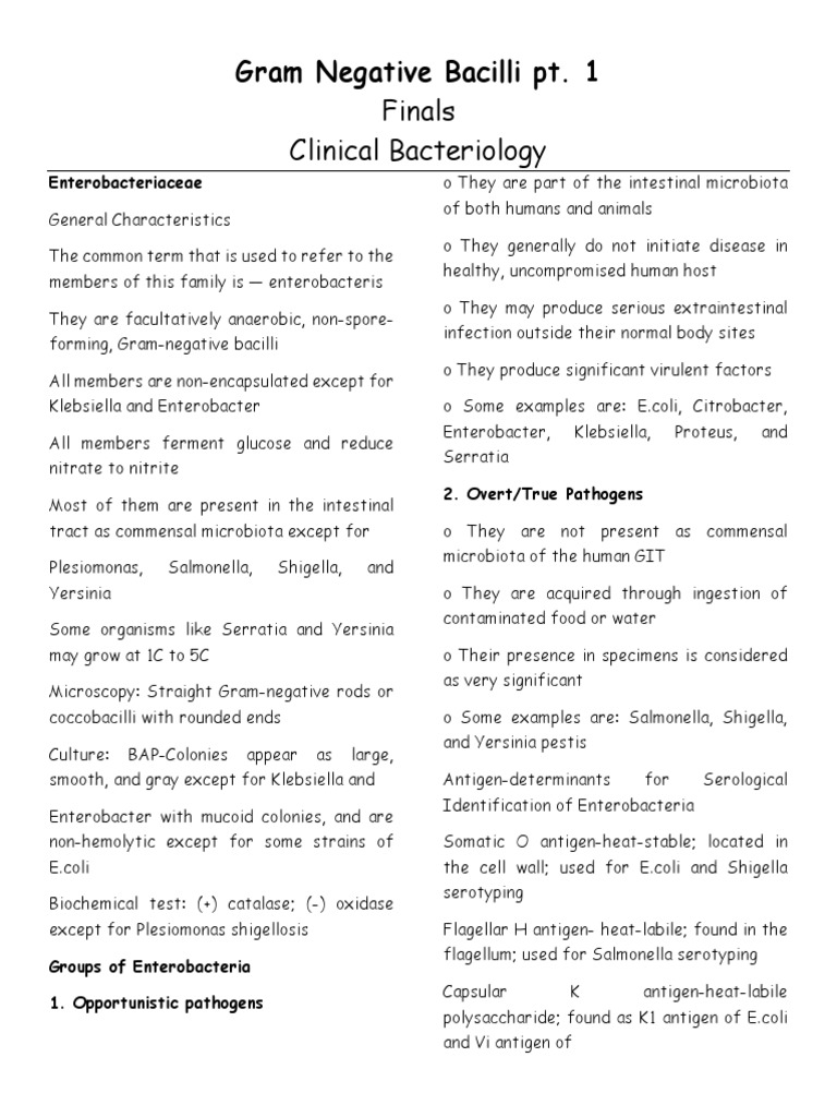BACTE Gram Negative Bacilli | PDF | Salmonella | Escherichia Coli