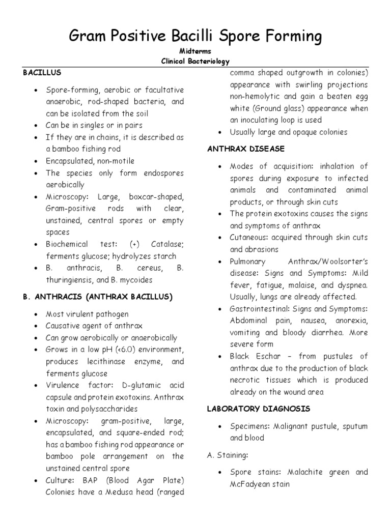 BACTE Gram Positive Bacilli Spore Forming | PDF | Bacillus | Anthrax