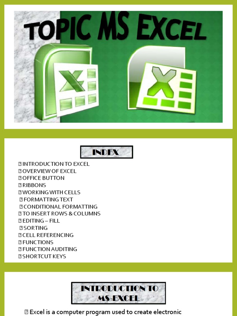 MS Excel Lesson 2 | PDF | Microsoft Excel | Spreadsheet
