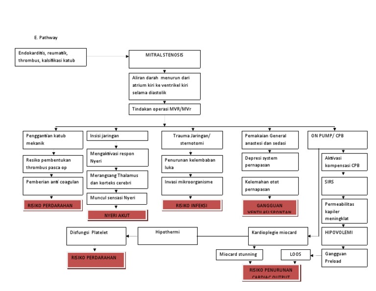 Pathway Post Op MVR | PDF
