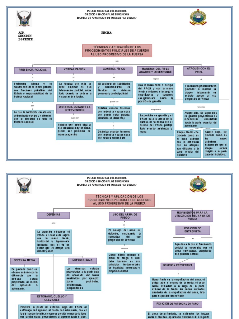 Mapa Conceptual Jennifer | Descargar gratis PDF | Policía | Fuerza