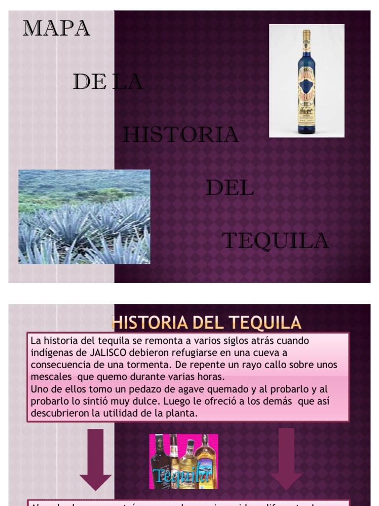 Historia Del Tequila | PDF