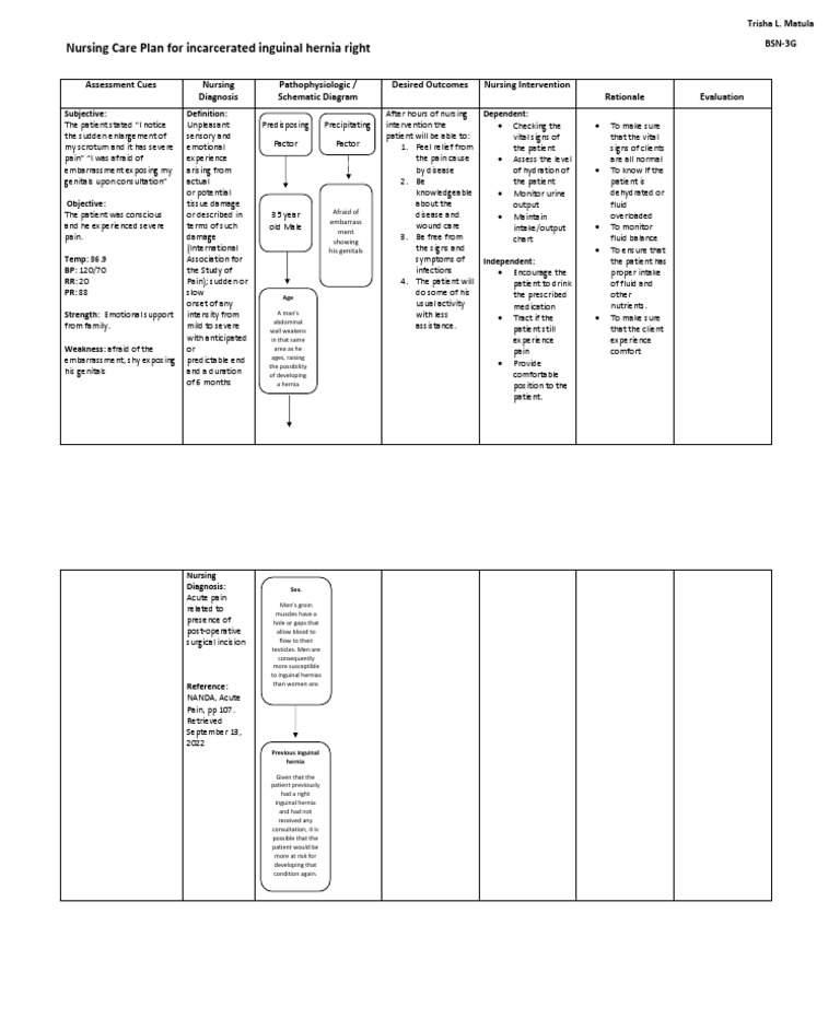 Nursing Care Plan For Incarcerated Inguinal Hernia Right | PDF | Causes ...