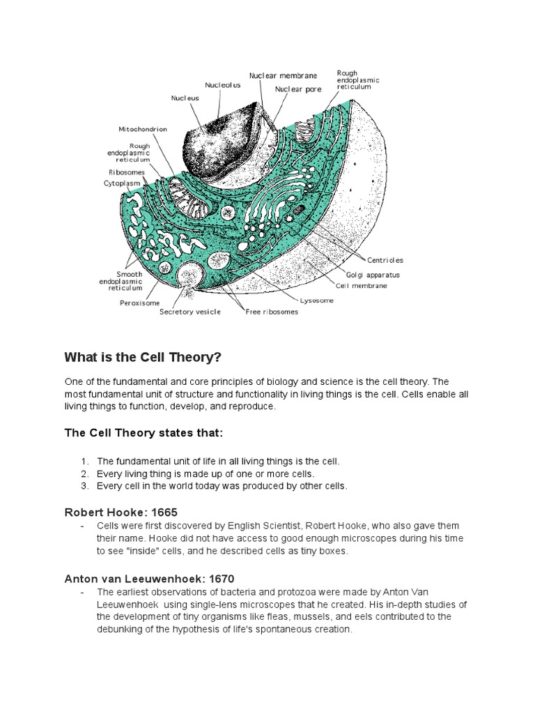 Cell Theory | PDF | Cell (Biology) | Science
