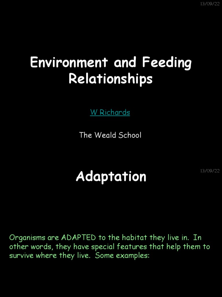 7C Environment and Feeding Relationships | PDF | Predation | Foods