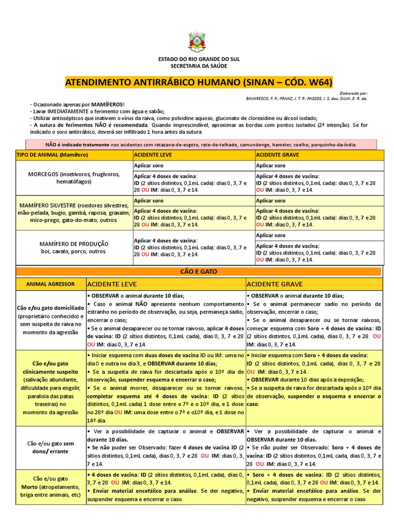 Esquema Atendimento Antirrabico Humano | PDF | Raiva | Cães
