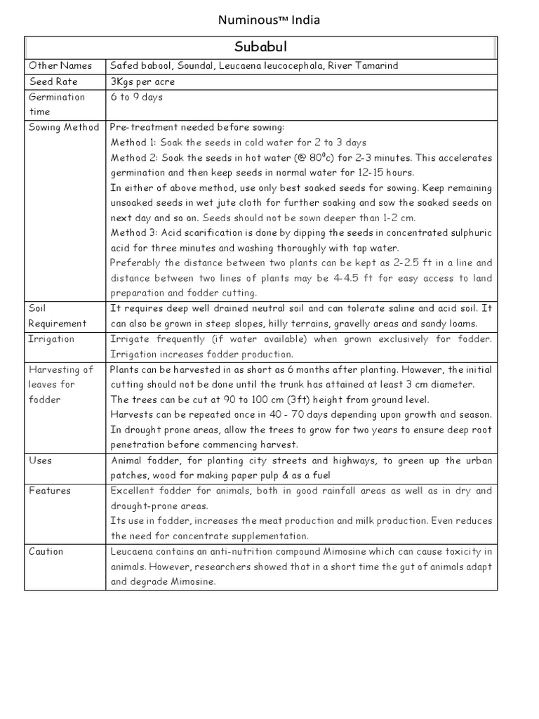 Subabul Information | PDF | Sowing | Trees