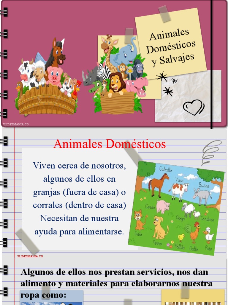 Animales Domésticos y Salvajes | PDF