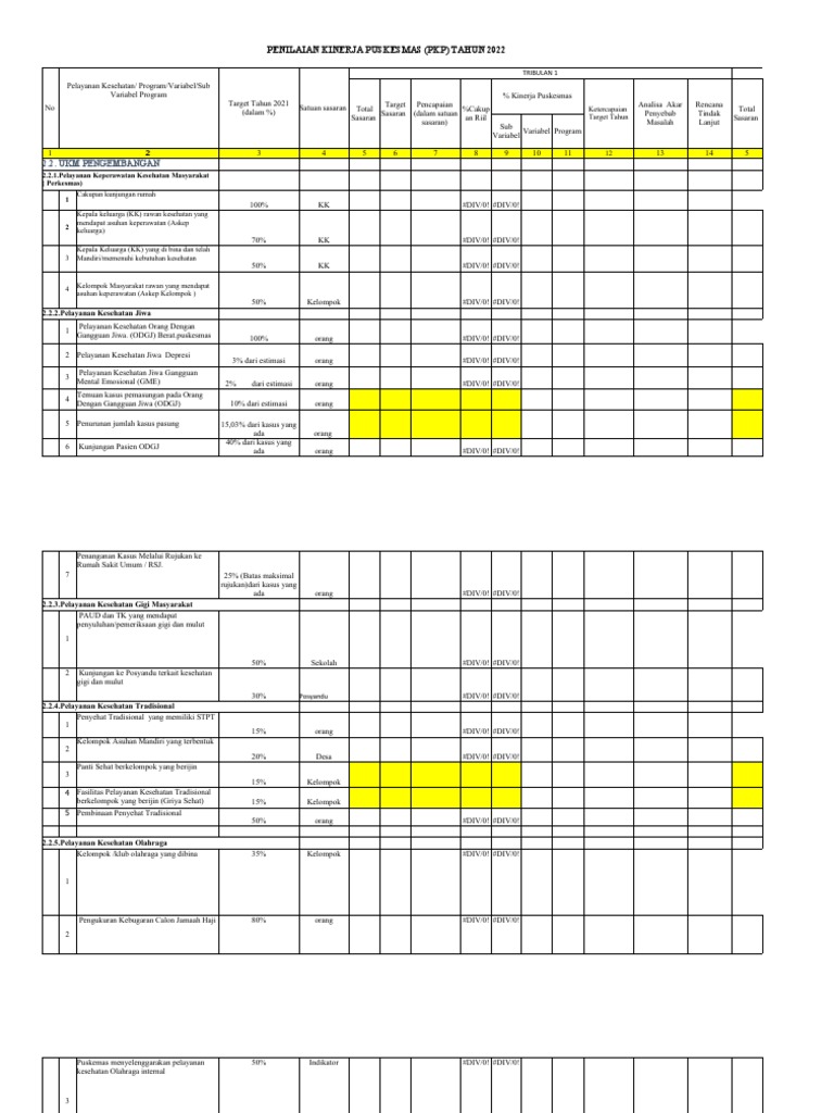 Format PKP 2022 | PDF