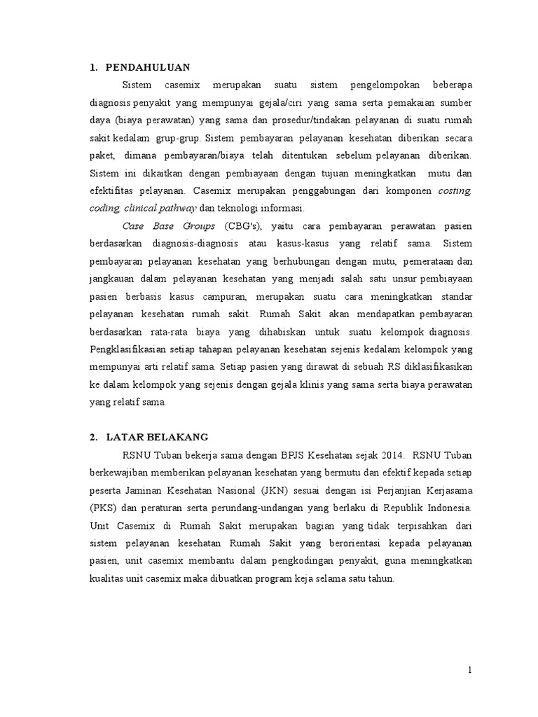 Program Kerja Casemix | PDF