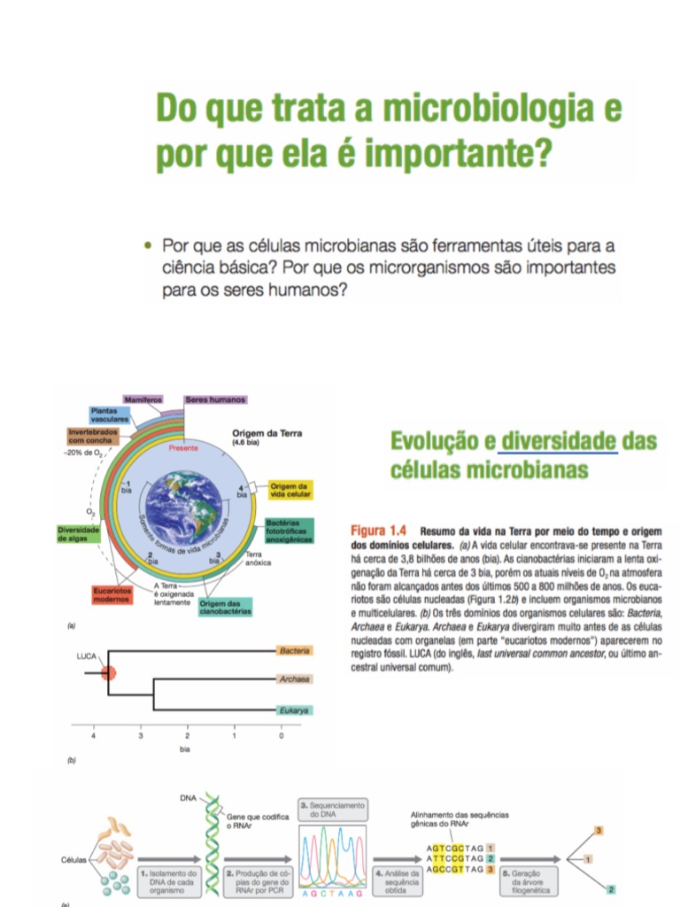 Aula - 1-Principios Da Microbiologia | PDF