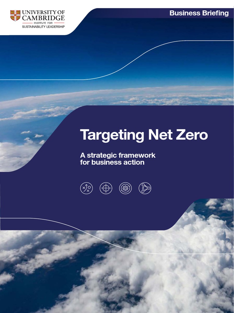 Net Zero Buisness Briefing Pdf Climate Change Low Carbon Economy