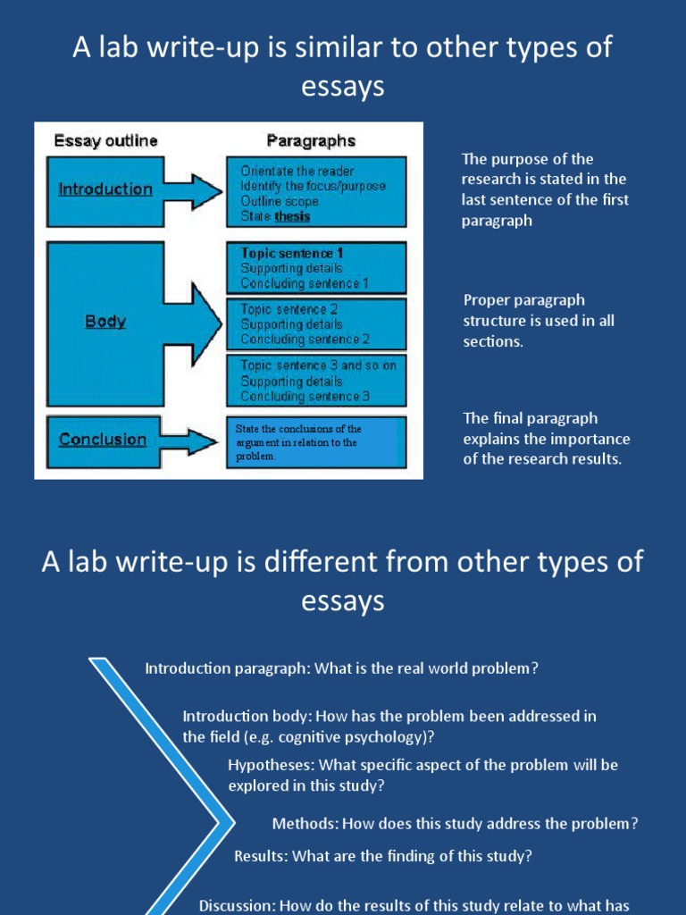 How To Write A Lab Write Up | PDF | Statistics | Essays