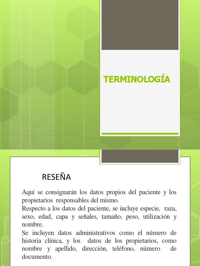 Terminología Médica Intro Pdf Sistema Digestivo Humano Respiración