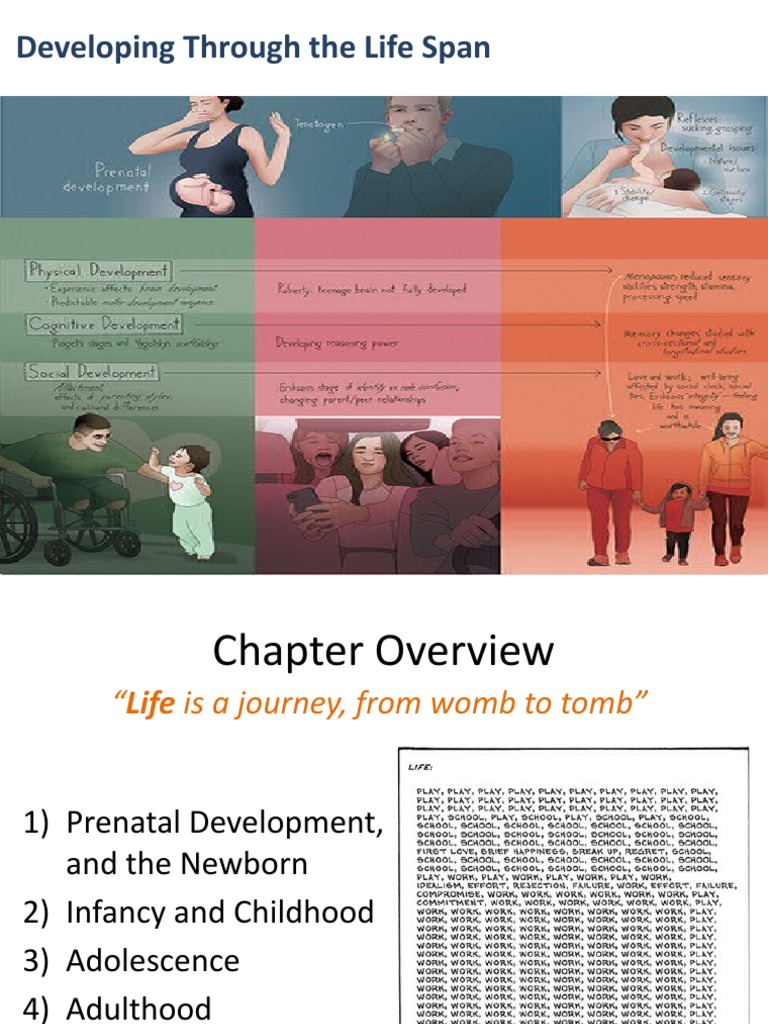 Chapter 4 - Development KA | PDF | Attachment Theory | Autism Spectrum