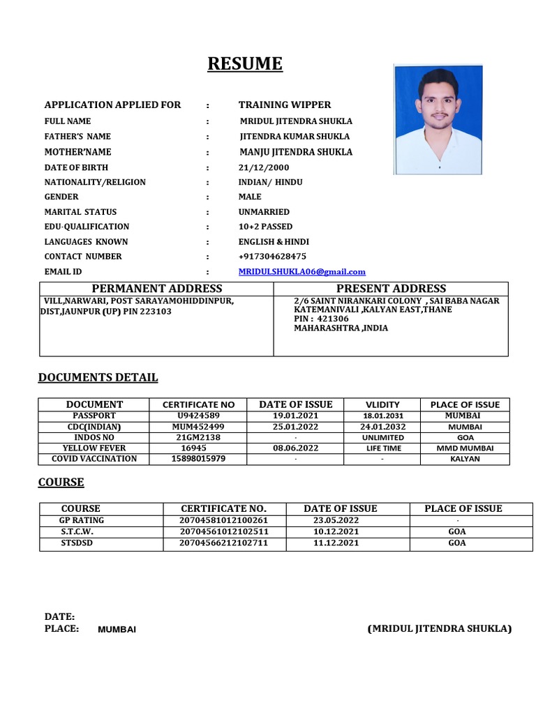 Seafarer CV | PDF