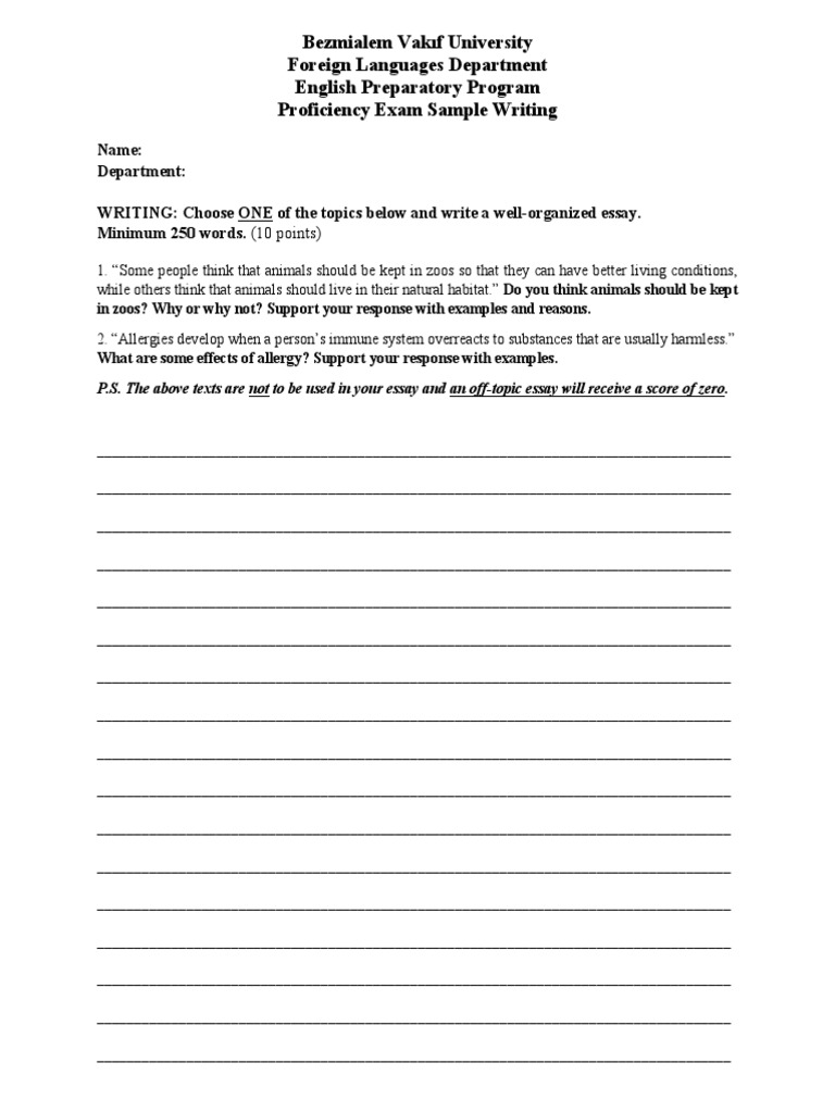 Proficiency Writing Sample | PDF