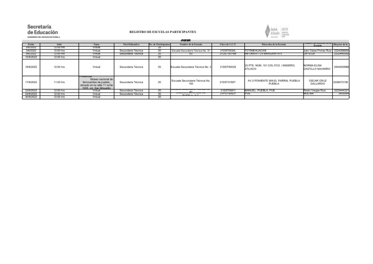 Layout Registro Junio Concytep | PDF