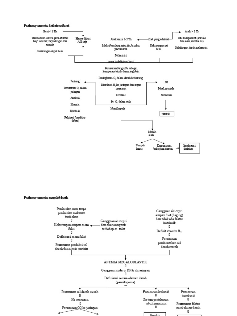 Pathway Anemia | PDF
